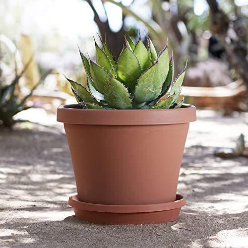 Bloem Terra Pot Round Drain Saucer: 16" - Terra Cotta - Tray for Planters 11-16", Matte Finish, Durable Resin, Ribbed Bottom, for Indoor and Outdoor Use, Gardening, Planter Not Included