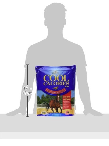 Manna Pro Cool Calories 100 | Equine Dry Fat Supplement for Healthy Weight Gain | 8 Pounds