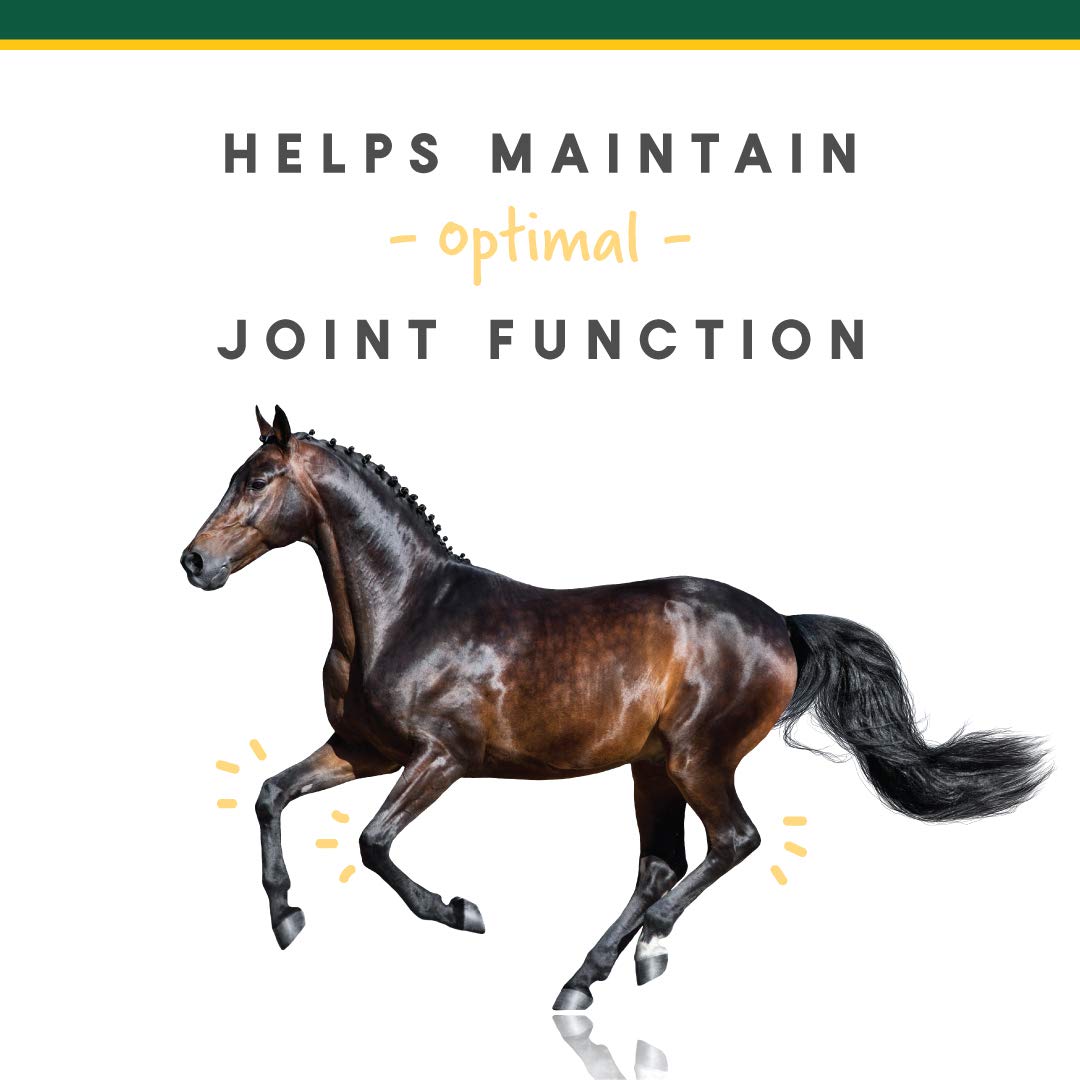 Manna Pro Corta-FLX Powder 8 lb Equine Joint Supplement, White