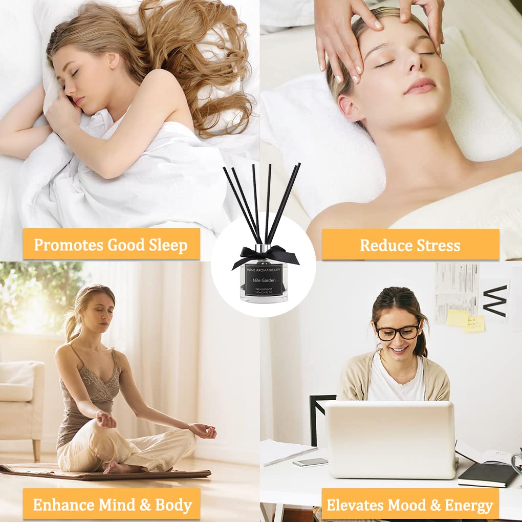 NEVAEHEART Diffuser Set,Parisian Garden Diffuser Gifts for Women,3.4oz(100ml) Diffuser with Sticks, Home Fragrance Diffuser for Living Room, Office & Bathroom Shelf
