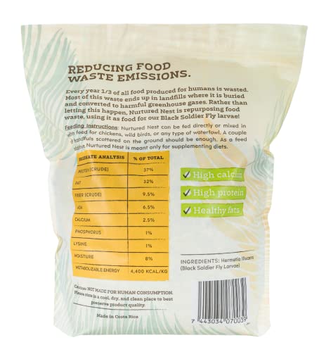 Nurtured Nest Premium Black Soldier Larvae - High Protein/High Calcium Chicken Treats - Better Than Mealworms - Non-GMO, Additive Free (2.5 lb)