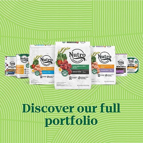 Nutro Natural Choice Adult Small Bites Dry Dog Food, Chicken & Brown Rice Recipe Dog Kibble, 5 lb. Bag