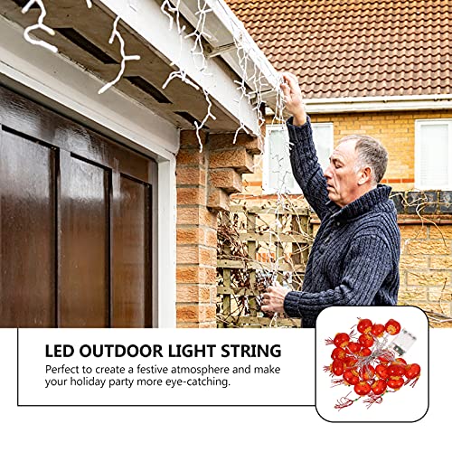 ibasenice Spring Festival Lantern String Lights LED Chinese Style Fairy Lights String Lamp Birthday Party Layout Lights Restaurant Garden Home Decor String Lights