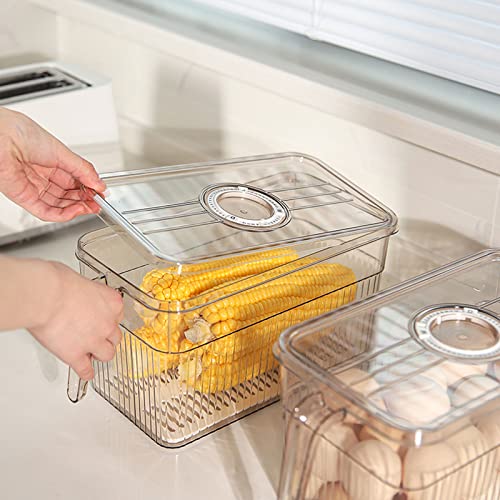 loobuu Produce Saver Containers for Refrigerator - 2 Pack Stackable Food Storage Container for Fridge, Berry Keeper Boxes with Removable Drain Tray Keep Fresh for Vegetables, Fruit,Meat and Salad