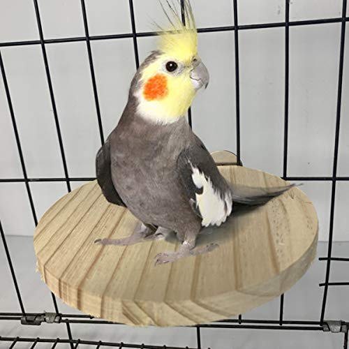 Hamiledyi 4 Pcs Natural Wood Hamster Stand Platform Rat Activity Playground Chinchilla Cage Accessories with Stainless Steel Washers for Bird, Parrot, Mouse, Gerbil and Dwarf