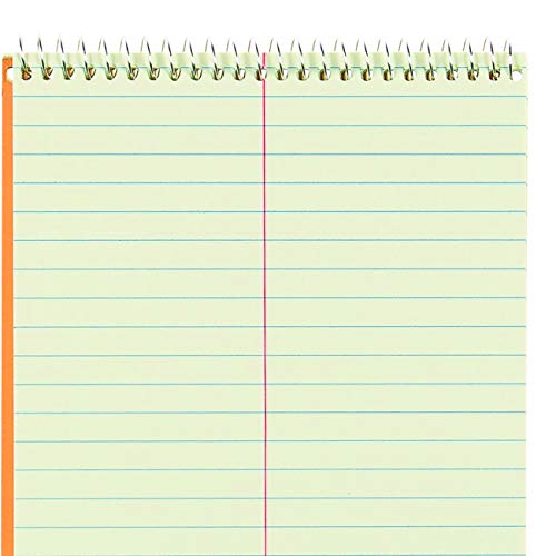 National Standard Spiral Steno Pad, Gregg Rule, Brown Cover, 80 Eye-Ease Green 6 X 9 Sheets