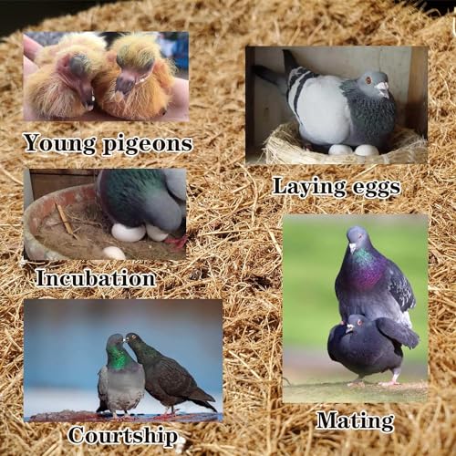 Bird Eggs Mat, 5pcs Bird Nesting Pads, Soft Comfortable Mat with Reed Leaves Material for Small Furry Pets, Wear Resistance Bird Eggs Mat for Birds Pigeons Chickens Bird Breeding Nesting Accessories
