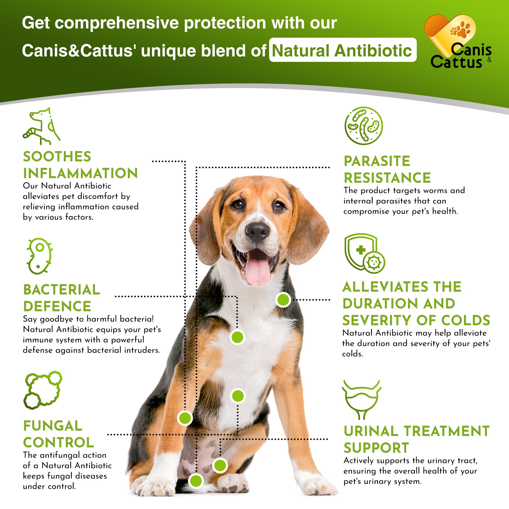 Dog and Cat Antibiotic | Probiotic for Cats & Dogs | Antibiotic for Cats & Dogs | Pet Antibiotic | Cat & Dog Probiotic Supplements | Bundle 2 Pack x 2 oz