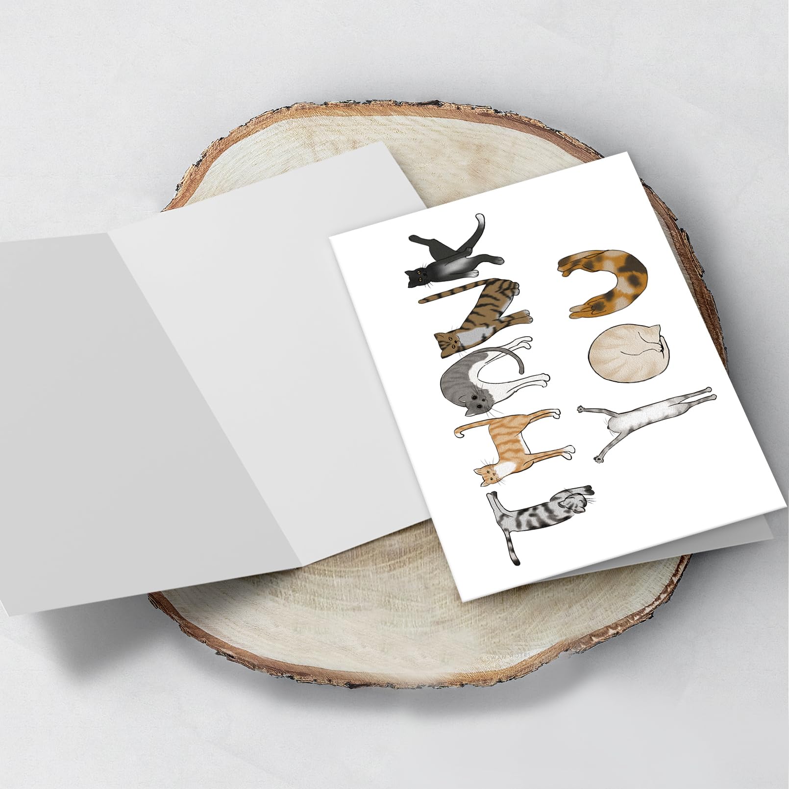 Cat Thank You Cards (6 Packs), Alphabet Thank You Cards for Cat Lovers