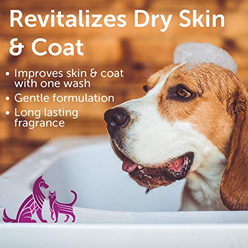 Nootie - Pet Shampoo for Sensitive Skin - Revitalizes Dry Skin & Coat - Natural Ingredients - Soap, Paraben & Sulfate Free - Cleans & Conditions