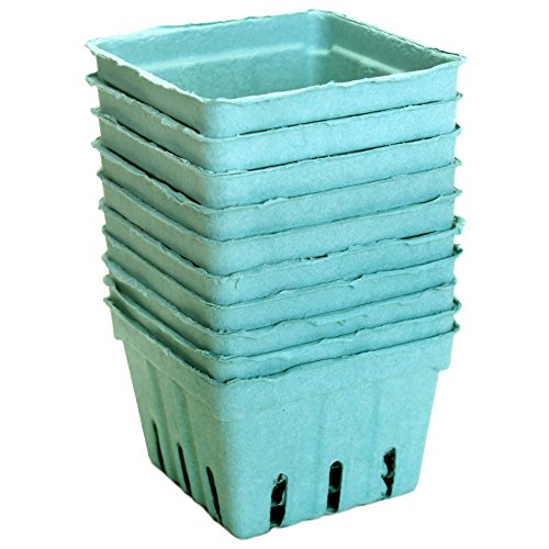 Pastel Colors Berry Basket- 10 Count (Green)