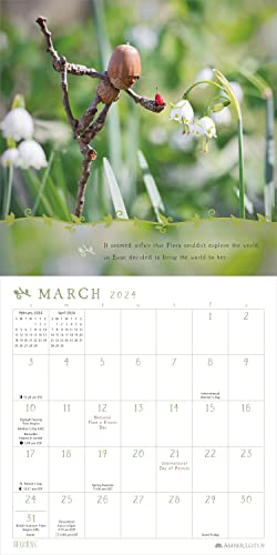 Becorns 2024 Mini Wall Calendar: Forest Folk by David M Bird | Compact 7" x 14" Open | Amber Lotus Publishing