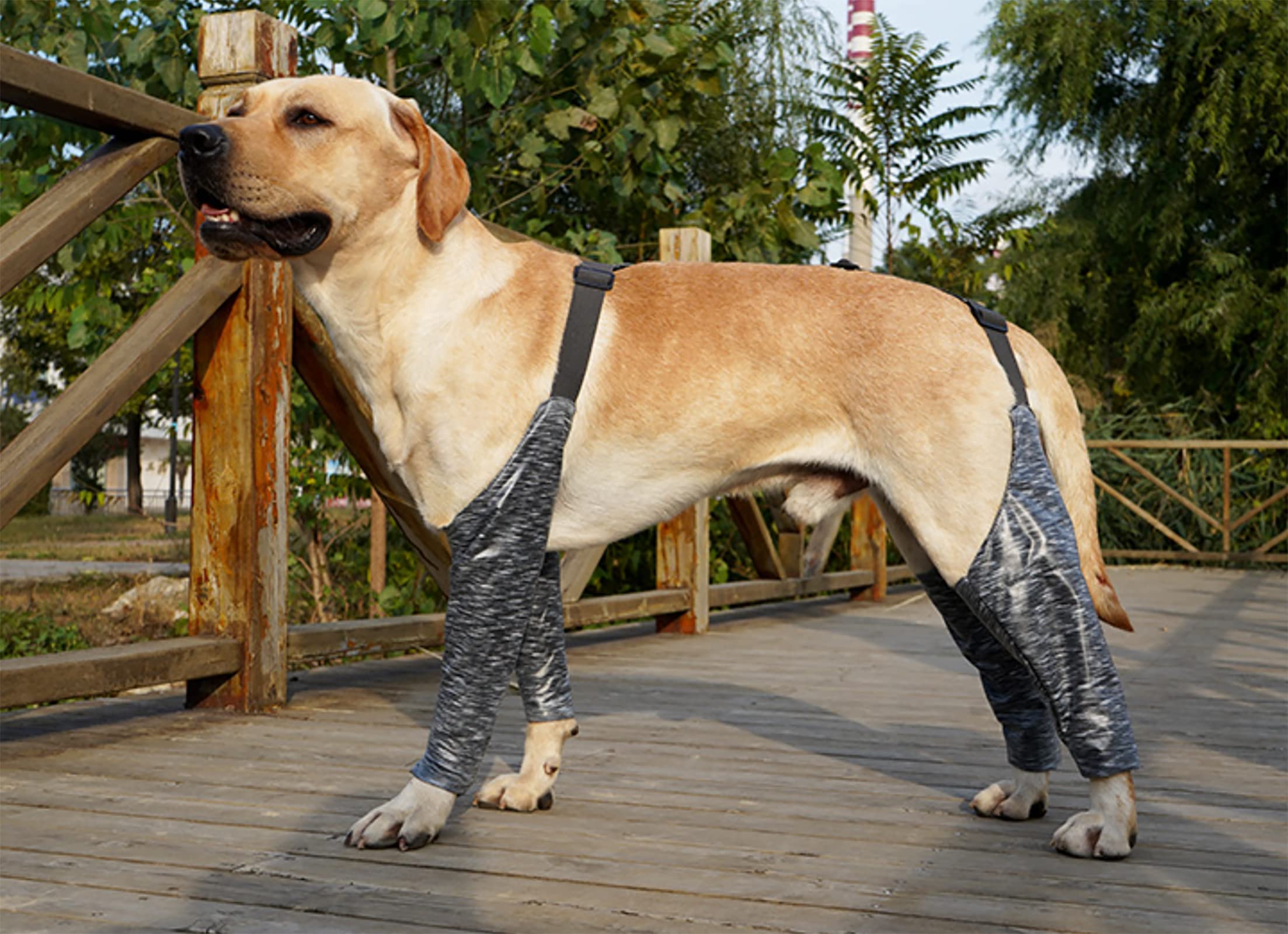 Dog Leggings to Prevent Licking, Pee, Dog Recovery Sleeve, Dog Sleeves for Wounds Front & Back Legs Grey 2X-Large