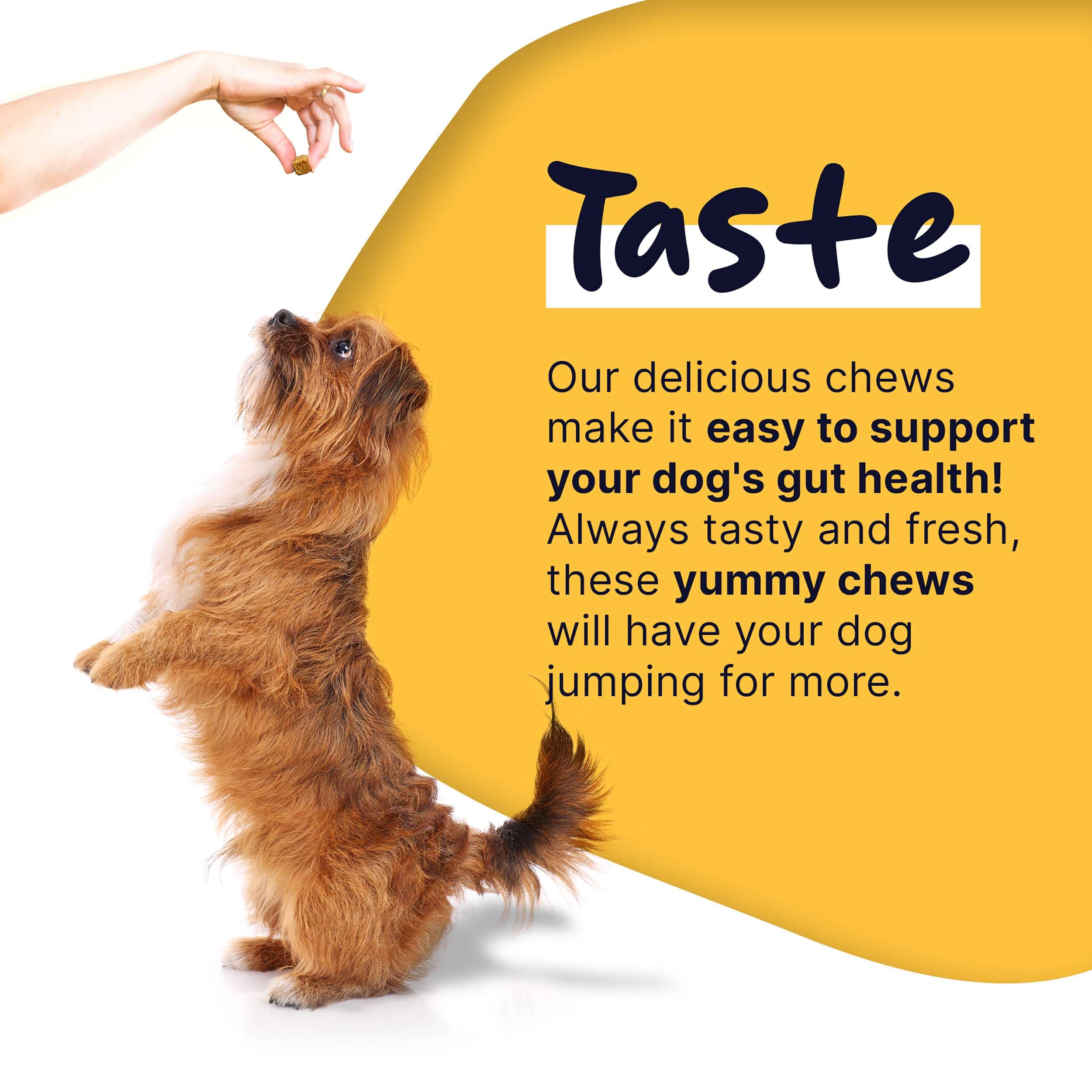 Dog Probiotics and Digestive Enzymes, 120 Delicious Chew Treats for Gut Health, Diarrhea, and Constipation - Hydrolyzes Nutrients for Better Absorption