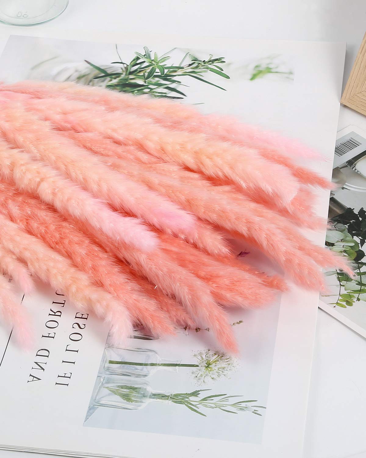 Omldggr 20 Pieces Natural Dried Pampas Grass Natural Dried Flowers Dried Reed Grass for Home Garden Office Party Wedding Decor(Pink)