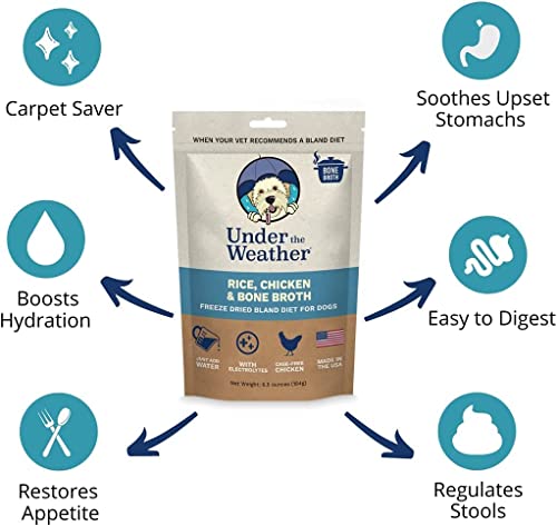 Under the Weather Easy to Digest Bland Diet for Sick Dogs - Always Be Ready - Contains Electrolytes - Gluten Free, All Natural, Freeze Dried 100% Human Grade Meats - Chicken, Rice & Bone Broth