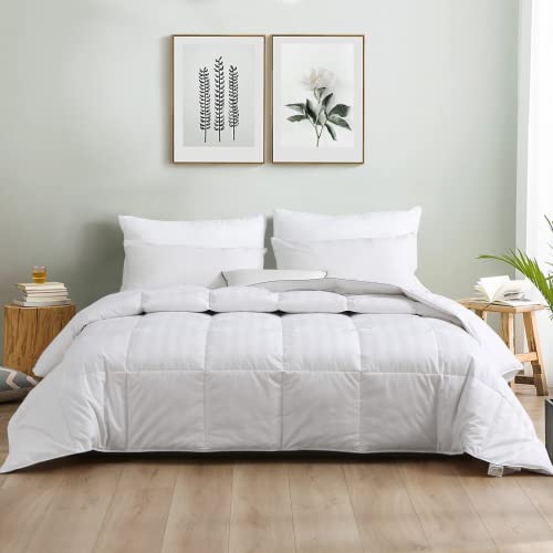 Dreamhood Lightweight Goose Feather Down Comforter Queen Size, White Down Duvet Insert Full Bedding Comforter, 100% Cotton Shell 90 X 90 Inches