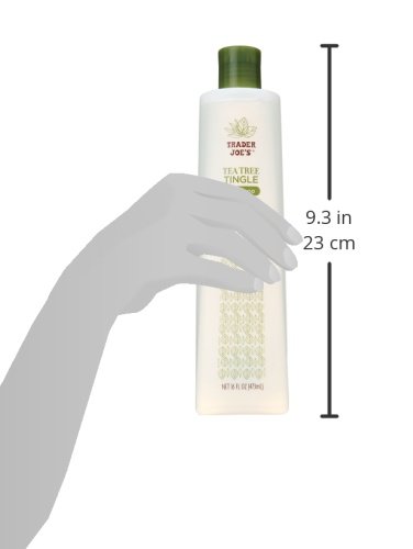Trader Joes Tea Tree Tingle Shampoo with Peppermint, Tea Tree and Eucalyptus Botanicals (Pack of 2)