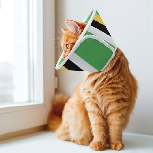 Dominican Flag Soft Dog Cone Collars Protective Adjustable Cat Recovery Collar to Stop Licking L