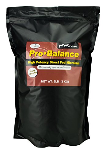 Ortho Equine Pro Balance Supplement, 5 lb