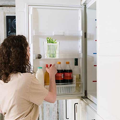 Fridge Organizer Bin 2pcs Refrigerator Organizer Bins: Plastic Storage Bins Food Storage Containers Fridge Trays Egg Organizer For Organizing Kitchen Food Snack Pantry Cabinet