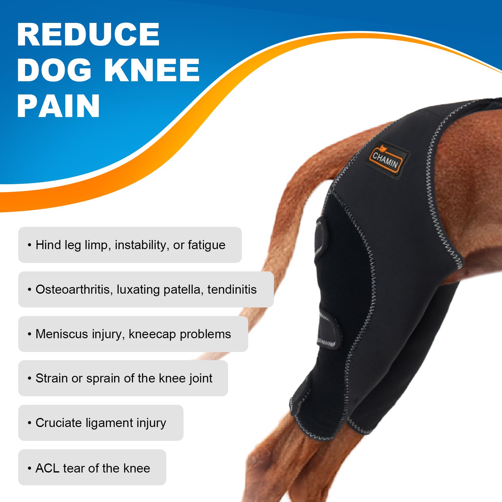 CHAMIN Dog Leg Braces for Hind Leg, Dog Acl Knee Brace Support for Cruciate Ligament Injury,Osteoarthritis, Luxating Patella, Muscle Sore,et(Extra Large)