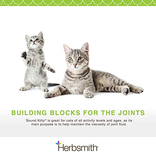Herbsmith Sound Kitty – 5-in-1 Joint Care for Cats with Chondroitin, Glucosamine & MSM – 75g