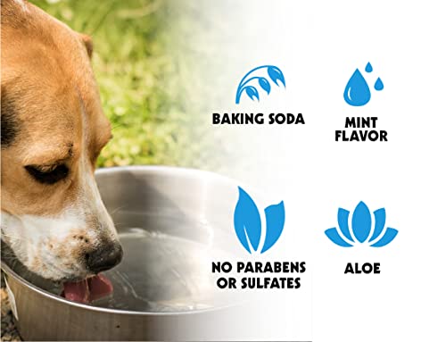 Petkin Plaque Spray, Cool Mint, 4 Fl Oz β Cleans Teeth & Gums, Removes Plaque & Tartar, Freshens Breath & Whitens Teeth with Baking Soda - Ideal Cat & Dog Dental Spray with No Brushing or Rinsing