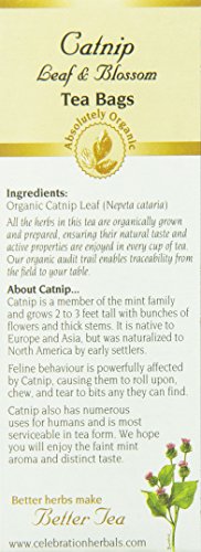 Celebration Herbals Teabags Herbal Catnip Leaf and Blossom Organic -- 24 Herbal Tea Bags