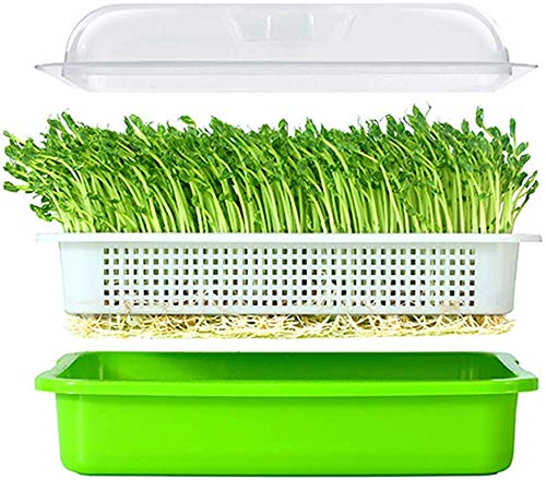 Blawicat Seed Sprouter Tray Seed Germination Tray BPA Free Nursery Tray for Seedling Planting Suit for Garden Home Office (5pcs with lid)