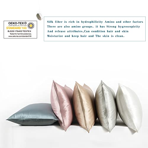 DISANGNI 100% Natural Mulberry Silk Pillow case for Hair and Skin with Hidden Zipper 22 Momme Both Sides Real Silk Pillow Case 1pc (Green, 2 Pack Standard Size 20"x26")