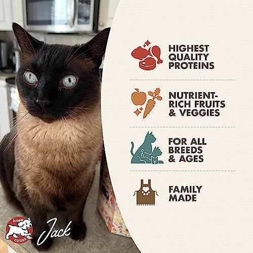Fromm Four-Star Nutritionals Surf & Turf Cat Food - Premium Dry Cat Food - Salmon Recipe - 4 lb