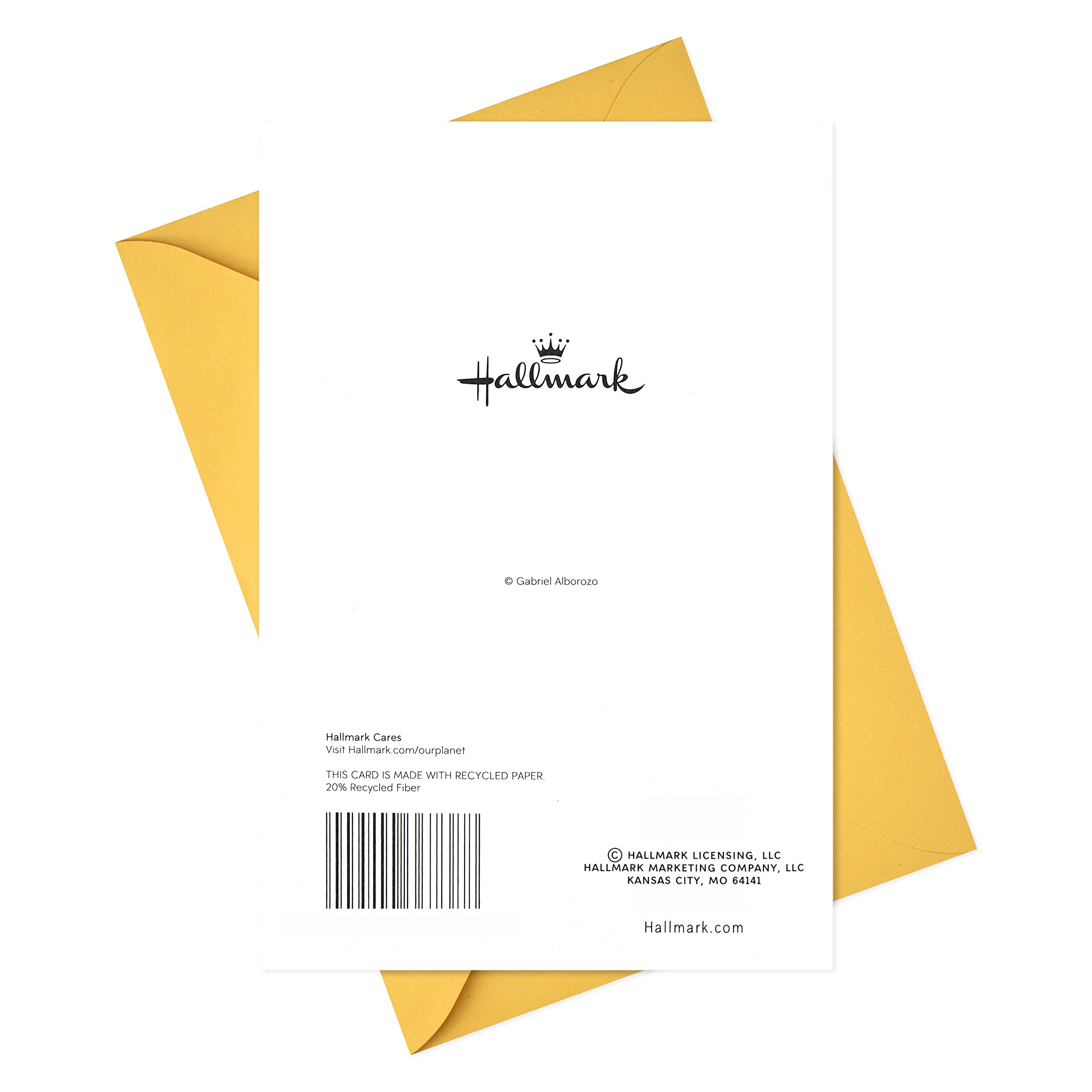 Hallmark Birthday Card (Balloon Ride)