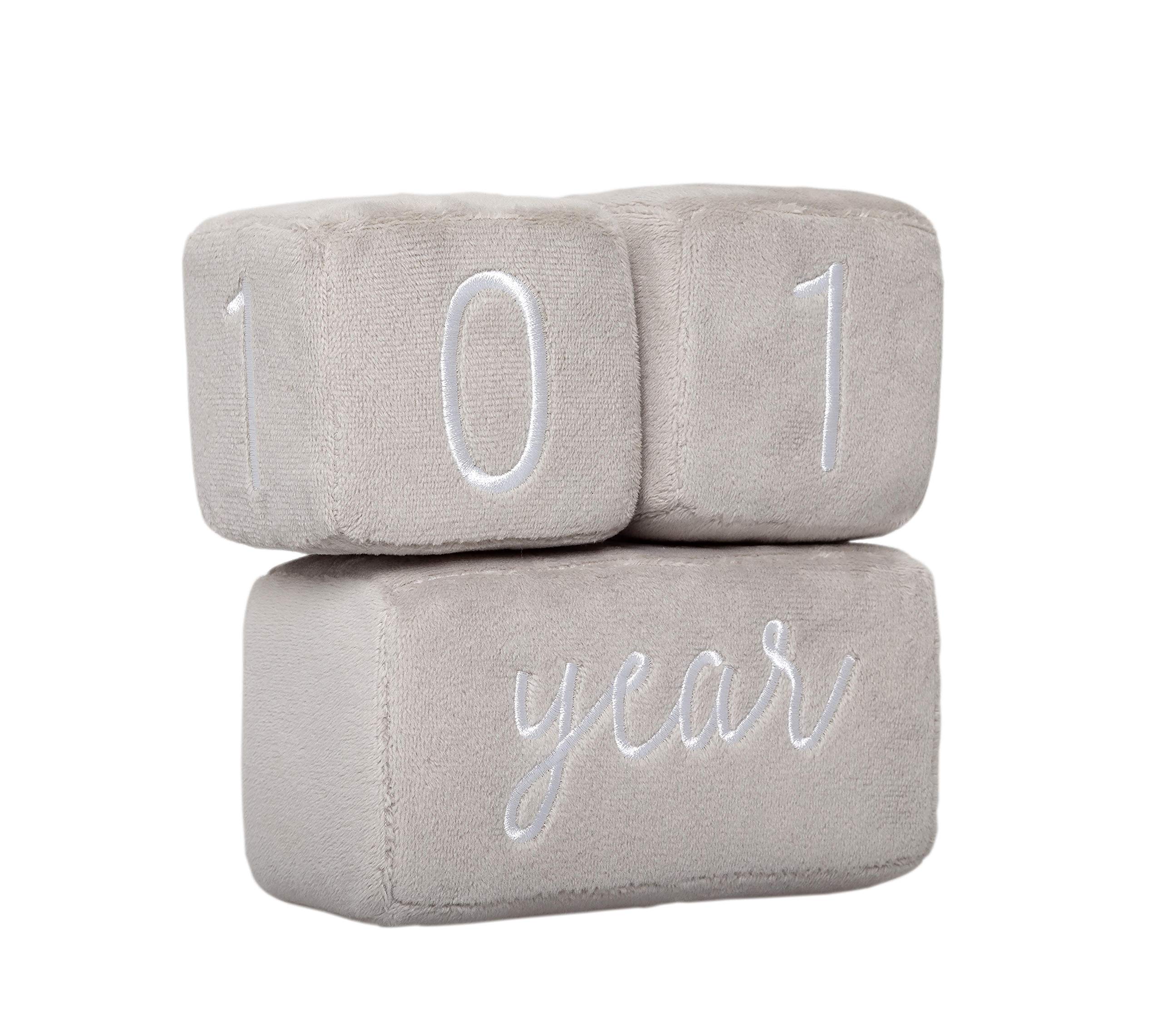 Pearhead Baby Plush Photo Sharing Milestone Age Blocks, Picture Prop, Set of 3 Blocks, Gray