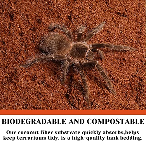 Hamiledyi Coconut Fiber Substrate Reptile Terrarium Bedding Organic Loose Hermit Crab Habitat Coco Fiber for Tortoise Crested Gecko Lizards Frogs Tarantulas (2 Pack)