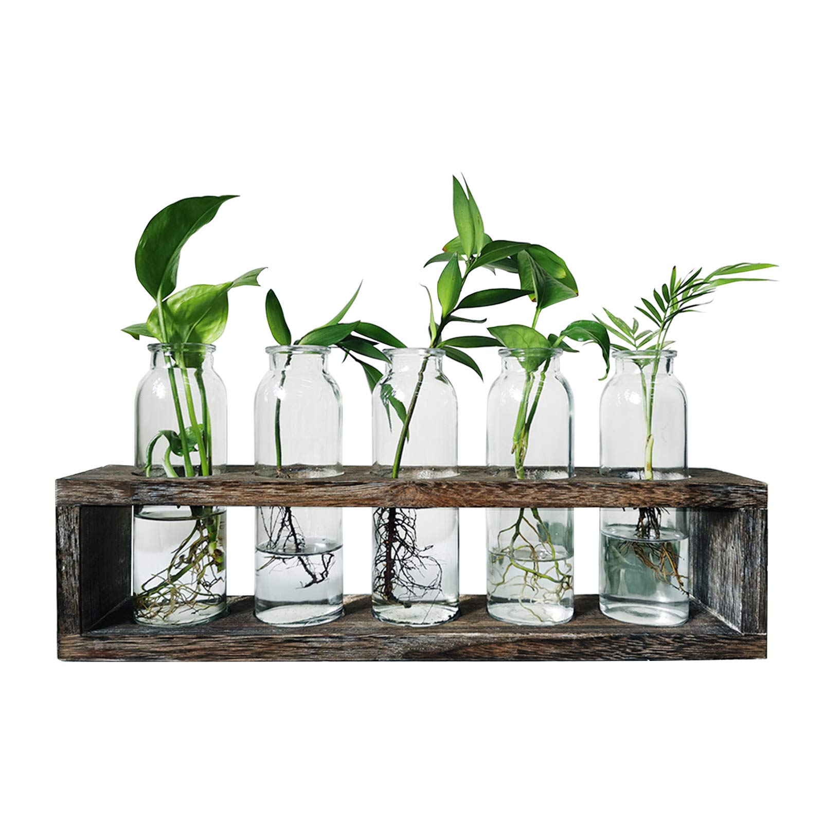 KatoonX Flower Vase Set with Wood Rack Plant Terrariums Kit for Hydroponics Plants Home Garden Wedding Centerpiece Decor (Rustic)