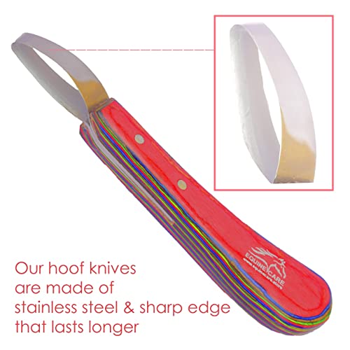 Equine Care Farrier Hoof Loop Knife - Sharp J2 Steel Blades with Comfortable Sheet Handle - Ideal for Farriers and Horse Owners