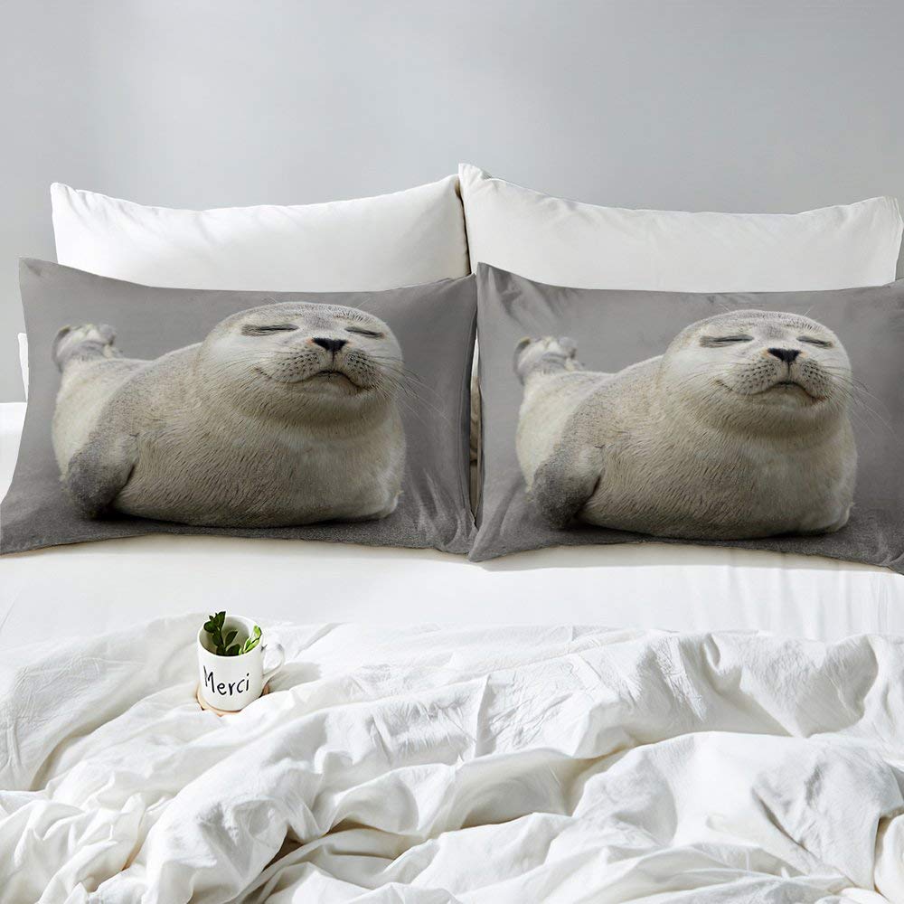 Homewish Seal Bedding Set 3pcs for Kids Boys Teens Sea Animal Theme Comforter Cover Underwater Marine Sealife Duvet Cover Set Microfiber Bedspread Cover with 2 Pillow Cases(No Comforter) Queen Size