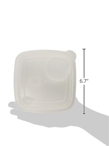 COMPAC HOME Take A Dip3 Deep Side Clear Food Storage Container - Divided Food Storage Containers with Lids - Microwave and Dishwasher Safe