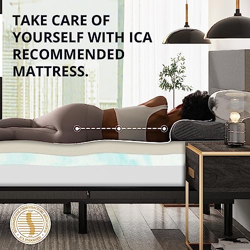 EGOHOME 12 Inch Queen Mattress, Copper Gel Cooling Memory Foam Mattress for Back Pain Relief,Therapeutic Double Matress Bed in a Box, CertiPUR-US Certified, 60”x80”x12”, Black