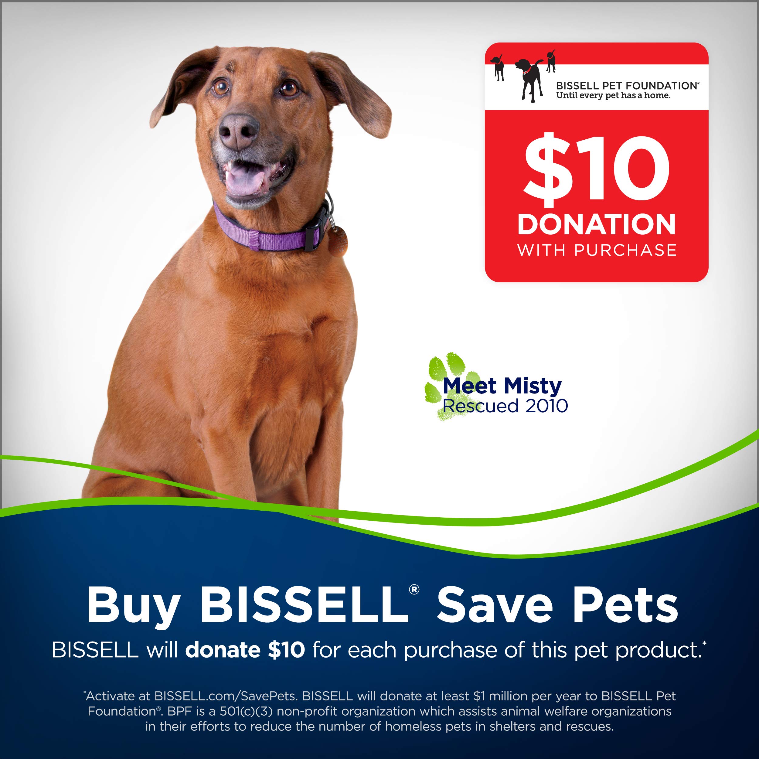 BISSELL, 2043U Cleanview Lift Off Pet Upright Bagless Vacuum