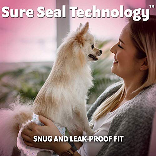 OUT! Pet Care Disposable Female Dog Diapers - Absorbent with Leak Proof Fit - XS/Small (Waist 13-18in) - 16 Count