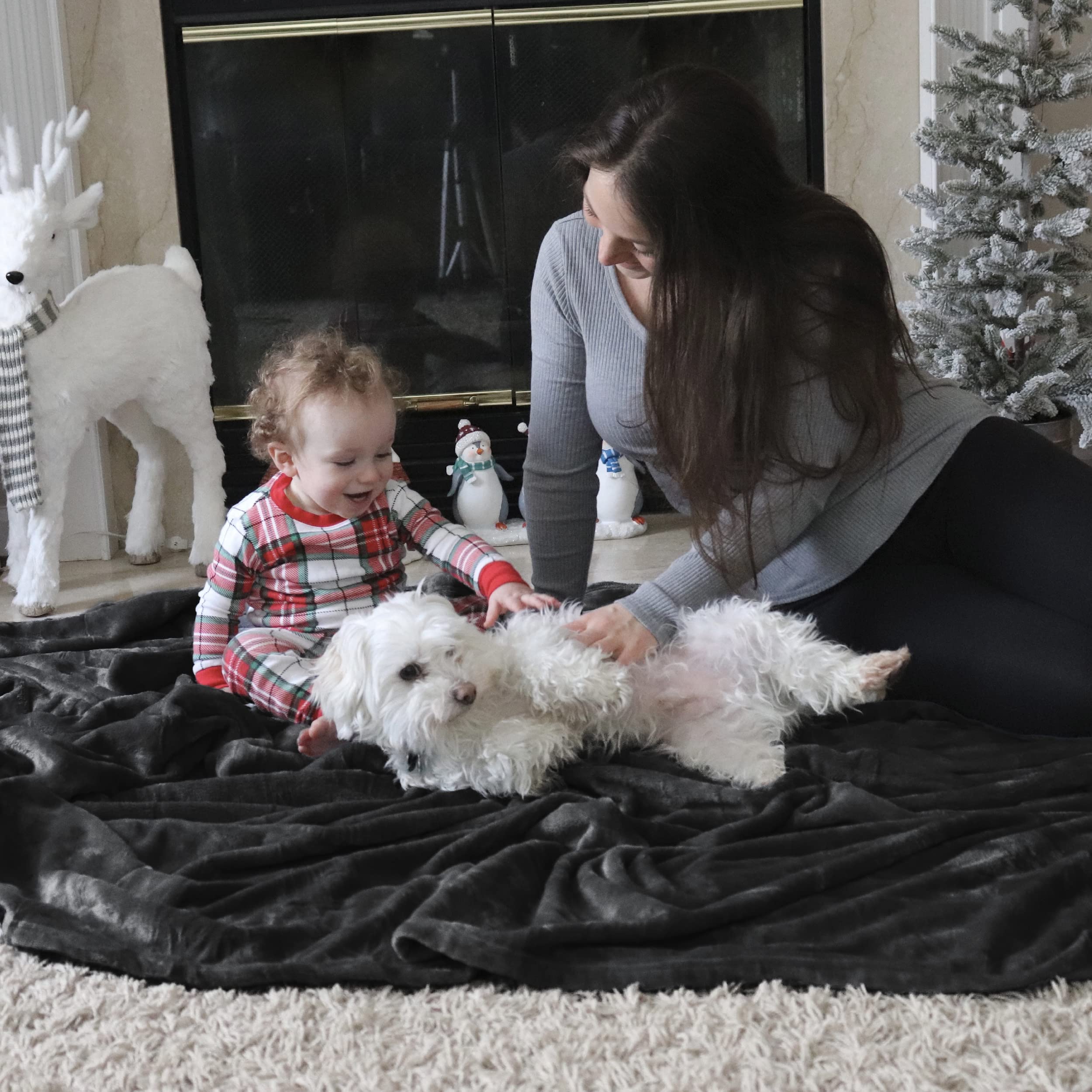 Bedsure Fleece Blanket Throw Blanket Ash Grey - 300GSM Throw Blankets for Couch, Sofa, Bed, Soft Lightweight Plush Cozy Blankets and Throws for Toddlers