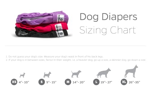 Pet Parents® Washable Dog Diapers (3pack) of Doggie Diapers, Color: Princess, Medium Dog Diapers
