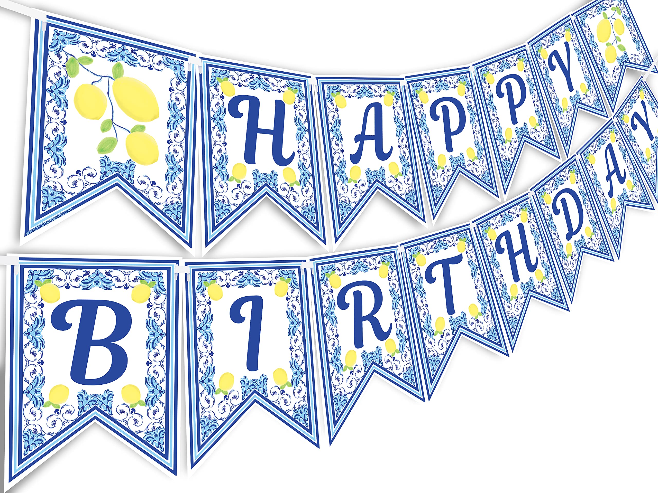 Capri Lemon Happy Birthday Banner - 40th 50th 60th Birthday Party Supplies - Lemon Birthday Party Decorations - Lemon Birthday Party Supplies- Banner (Capri Lemon Birthday Banner) (Capri Lemon