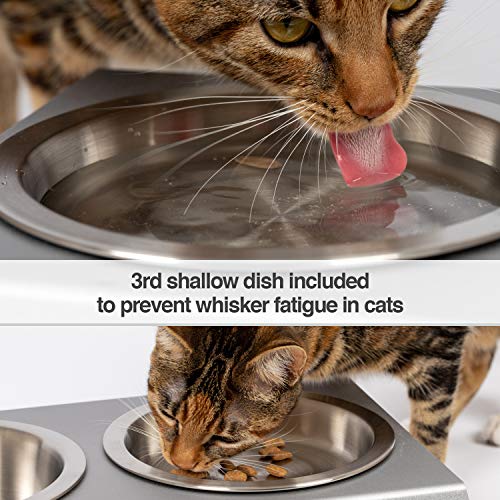 PetFusion Elevated Dog Bowls, Cat Bowls -- Premium Anodized Aluminum Feeder (Short 4"). Us Food Grade Stainless Steel Raised Bowls,Metallic Gray