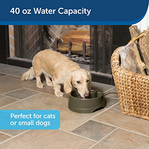 PetSafe Current Pet Water Fountain - Circulating Drinking Fountain for Cats and Dogs - Small, Forest, 40 oz Capacity Water Dispenser - Carbon Filter Included - Easy to Clean Design