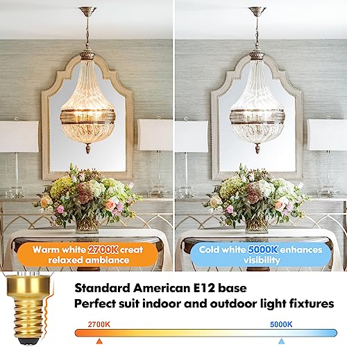 E12 Candelabra LED Light Bulbs, Dimmable 40 Watt Equivalent 5000K Bright Daylight White Candle Bulbs, 4W 460 LM Decorative CA10 Filament Chandelier Lamp Base for Bedroom Living Room Office, 12-Pack
