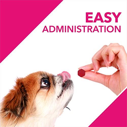 Drools Absolute Skin + Coat Tablet- Dog Supplement, 110 Piece for All Breed Sizes for Dogs Preservative-Free