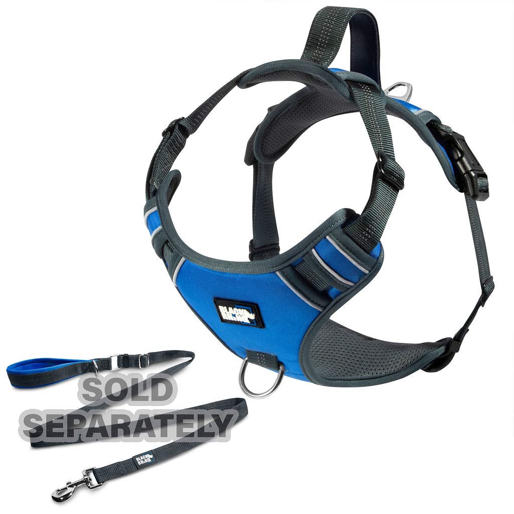 Black Rhino - The Comfort Dog Harness with Mesh Padded Vest for Small - Large Breeds | Adjustable | Reflective | 2 Leash Attachments on Chest & Back - Neoprene Padded Training Handle (Large, Aqua/Gr)